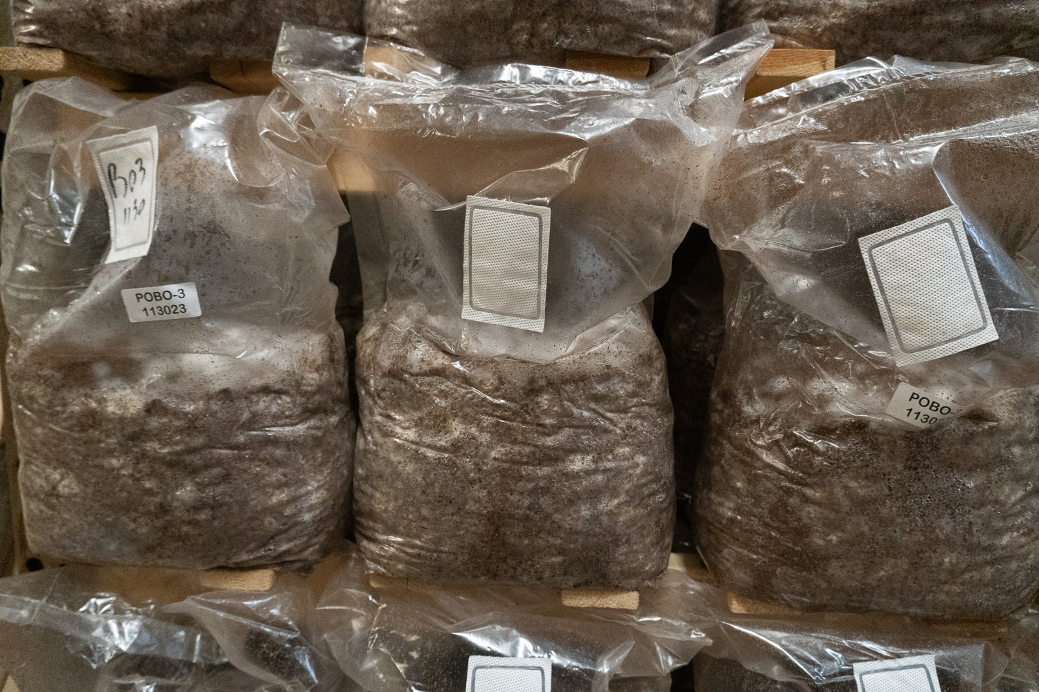 Substrate Info – Cap N Stem