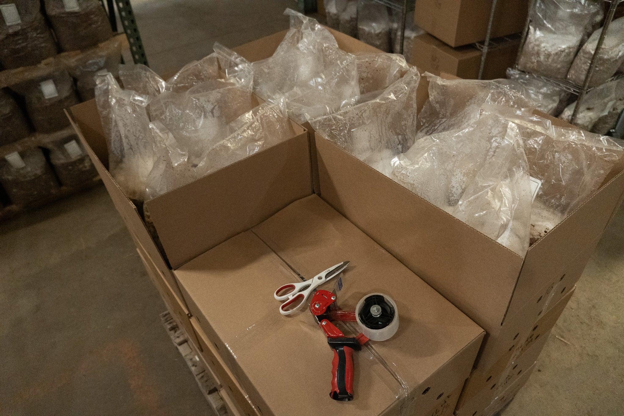 Substrate Info – Cap N Stem