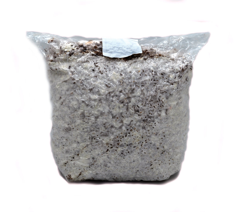 Grain Master (CERTIFIED ORGANIC) – Cap N Stem